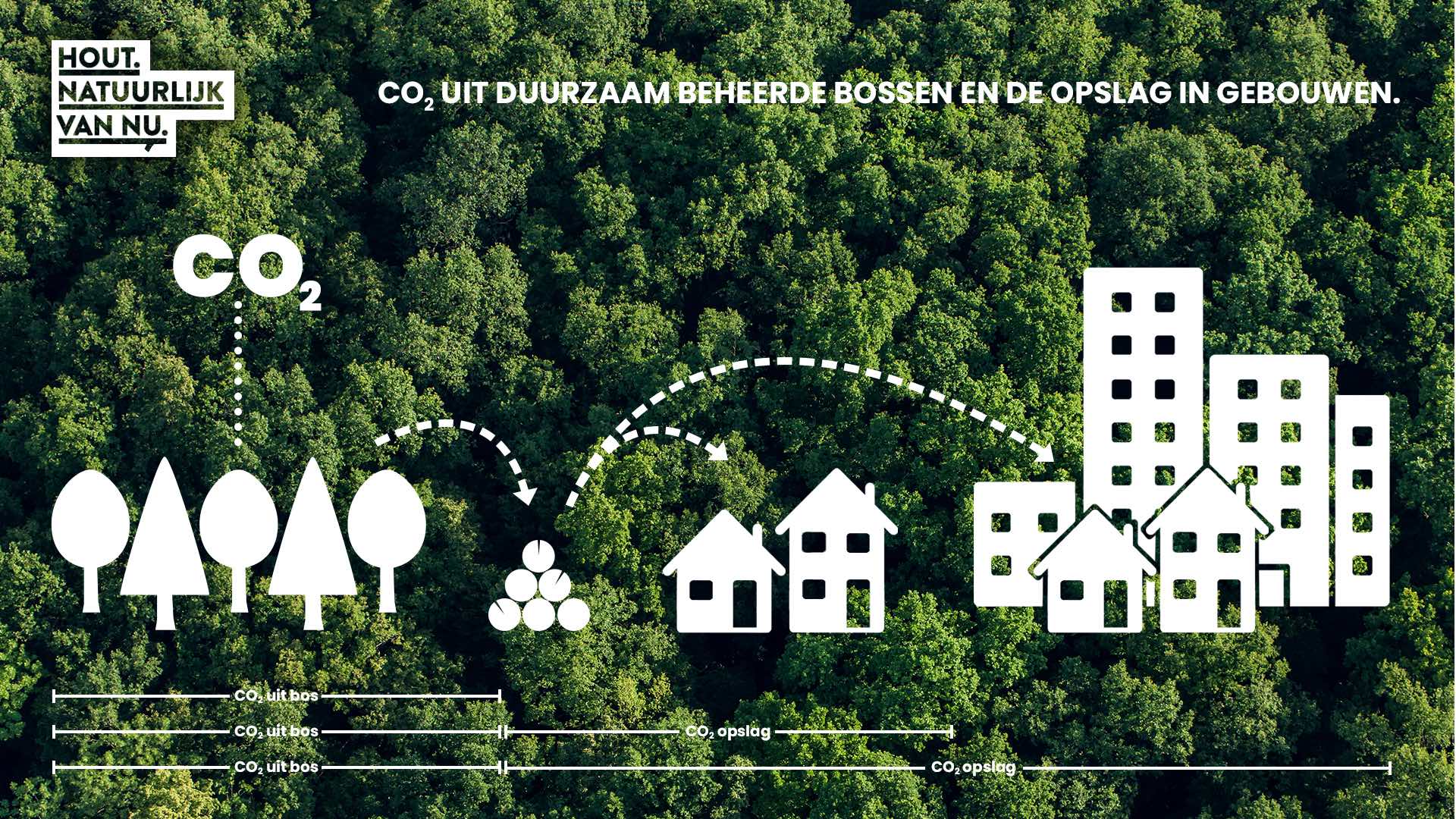 CO2 opslag in houten vloeren | Duurzaam & Milieuvriendelijk